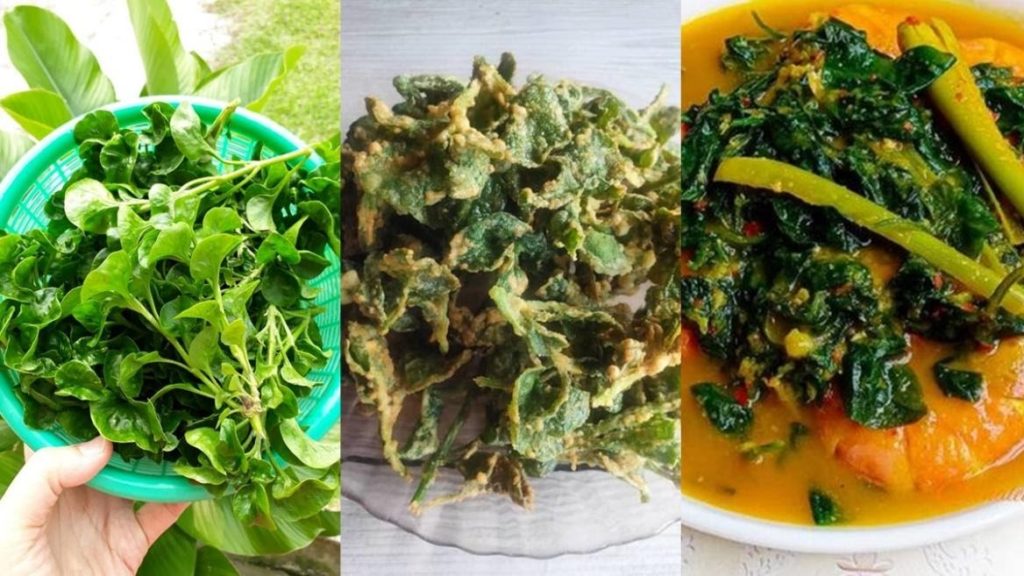 Sedapnya Bayam Brazil, Ini Menu Yang Boleh Korang Cuba - Sinaran Wanita